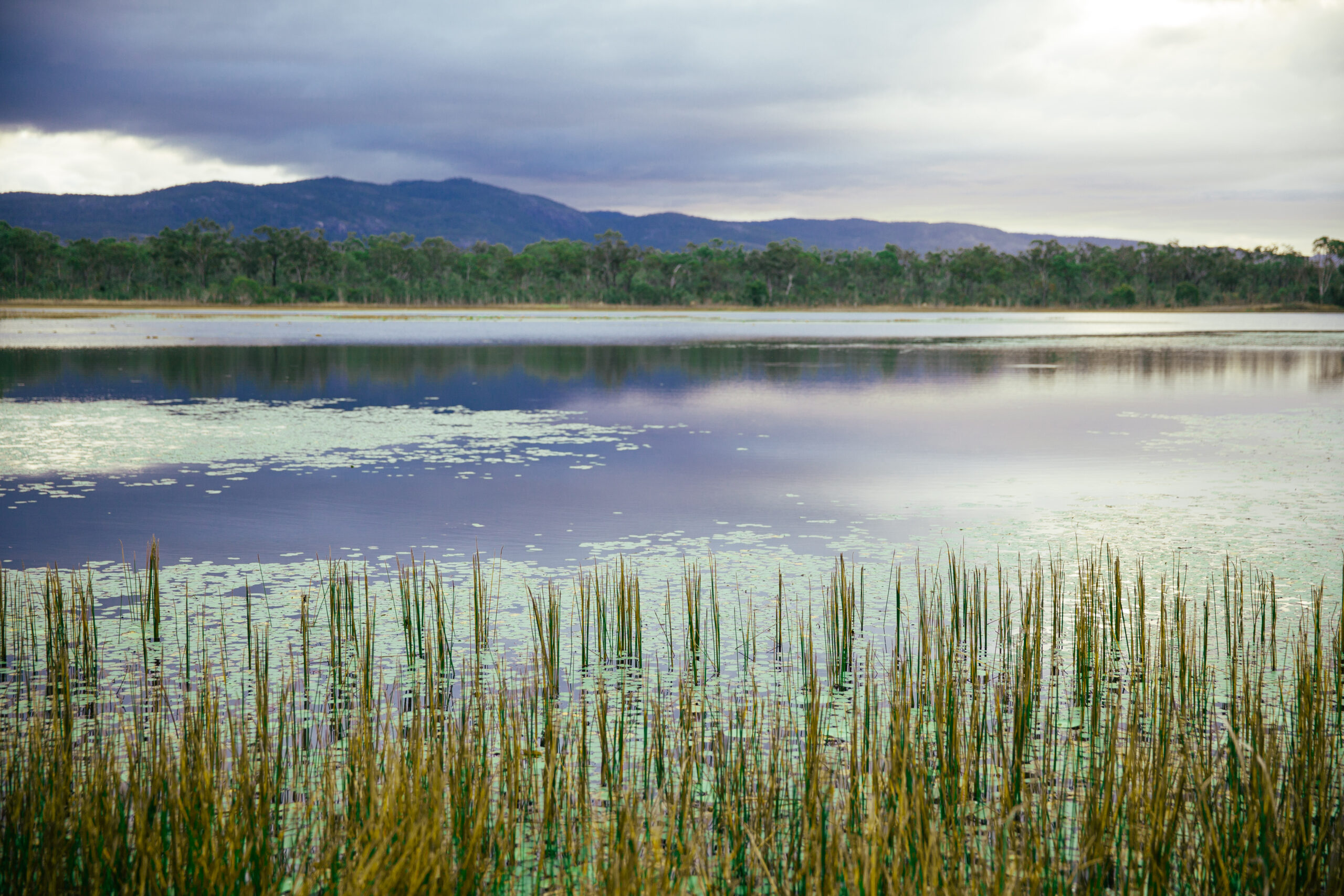 Let's Meet in Mareeba Video Series #1 - www.mareebaheritagecentre.com.au